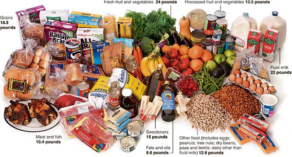 Visual Culture of Food Waste Data: Theaters of Proof | Discard Studies