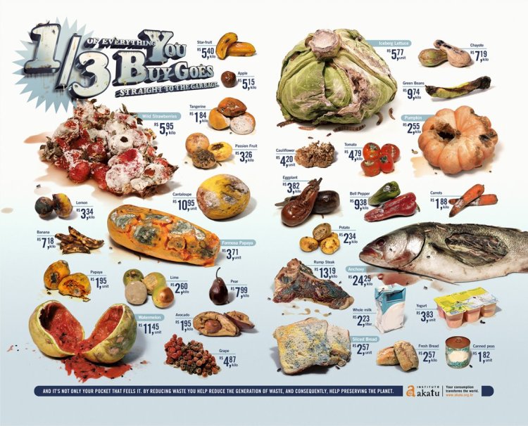 Visual Culture of Food Waste Data: Theaters of Proof | Discard Studies