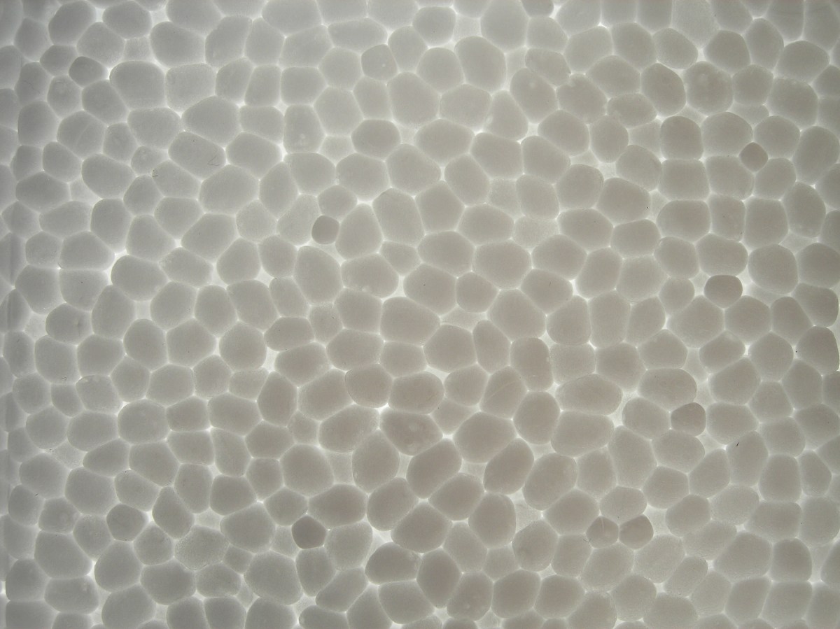The Power Behind Disposability: Why New York City’s ban on polystyrene ...