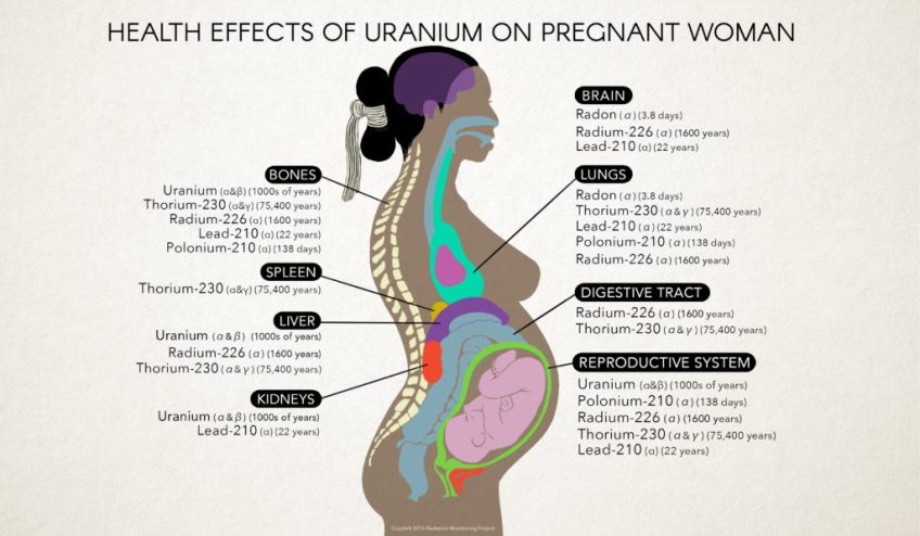 uranium effects on humans